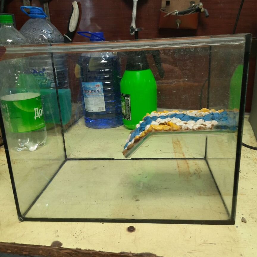 Аквариум для красноухой черепахи