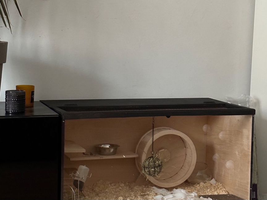 Витрина для грызуна ежа хомяка морской свинки