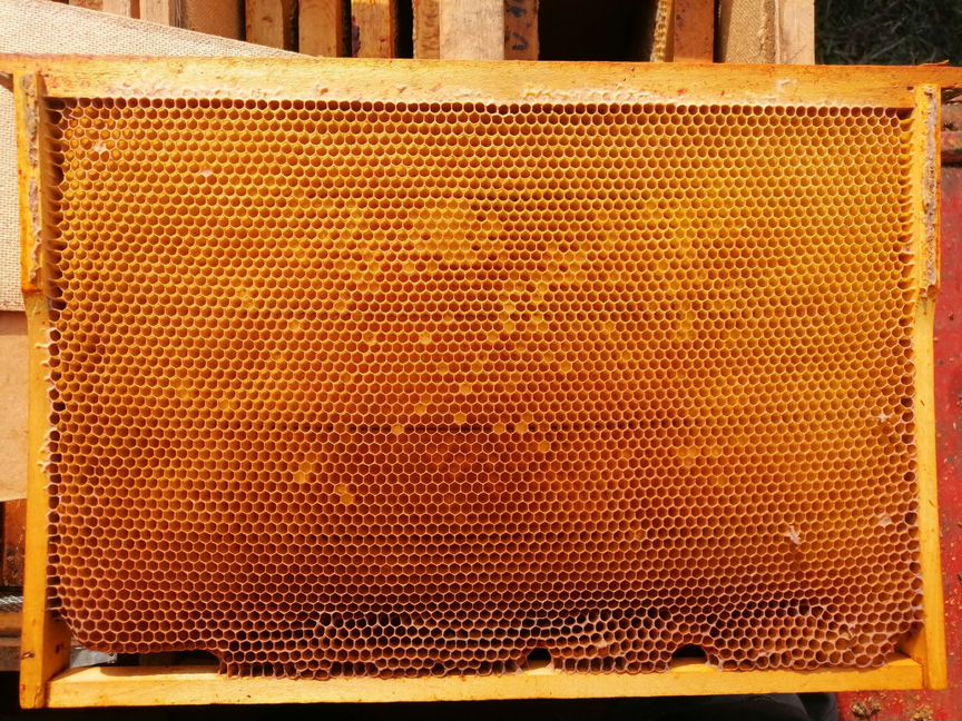 Сушь и медовые рамки дадан