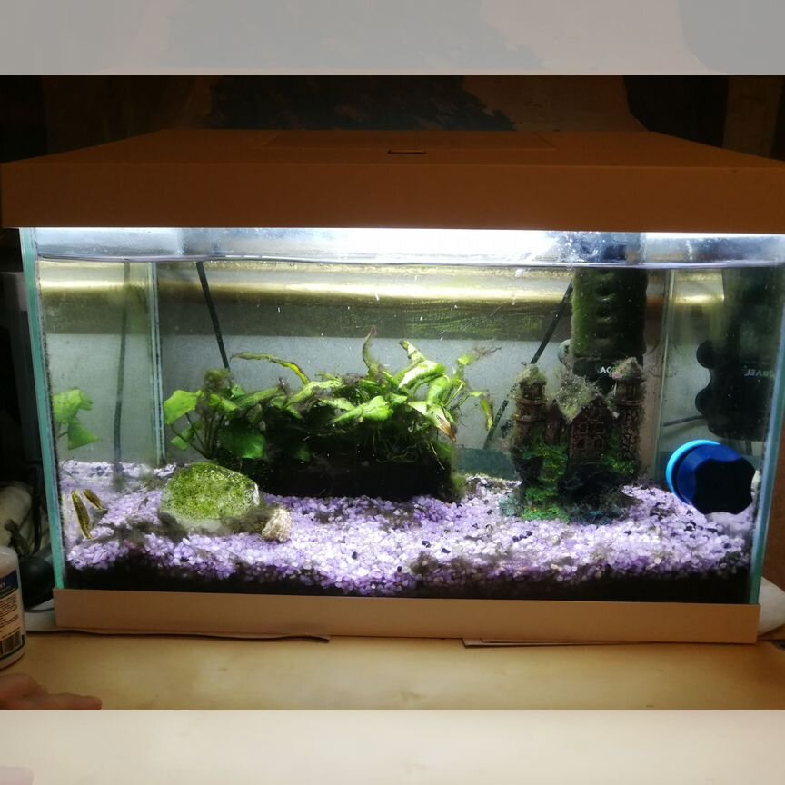 Аквариум aquael 25л + штуки