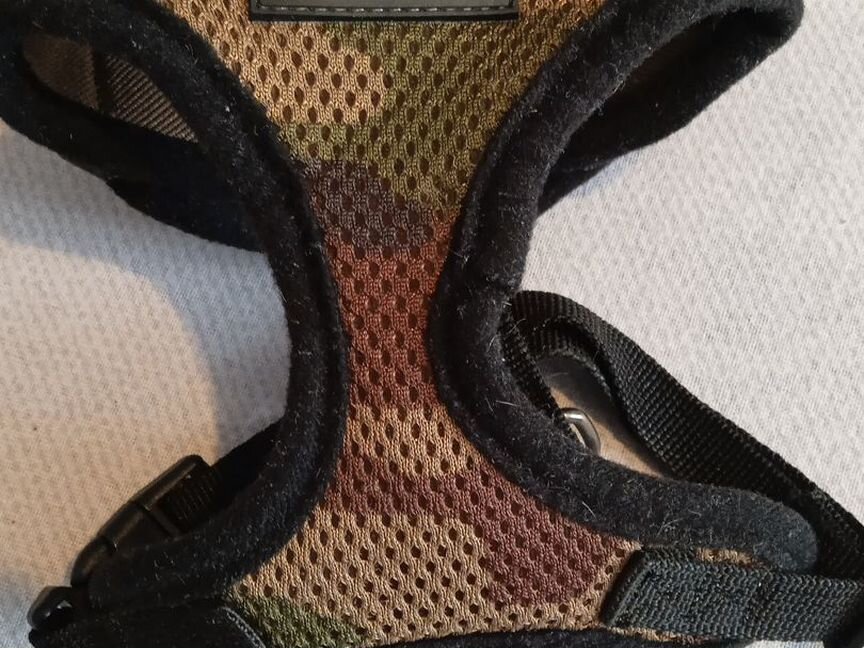 Шлейка для маленькой собаки