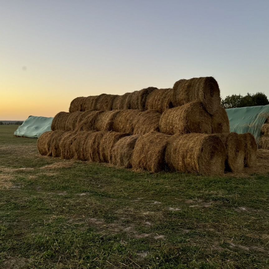 Солома в рулонах