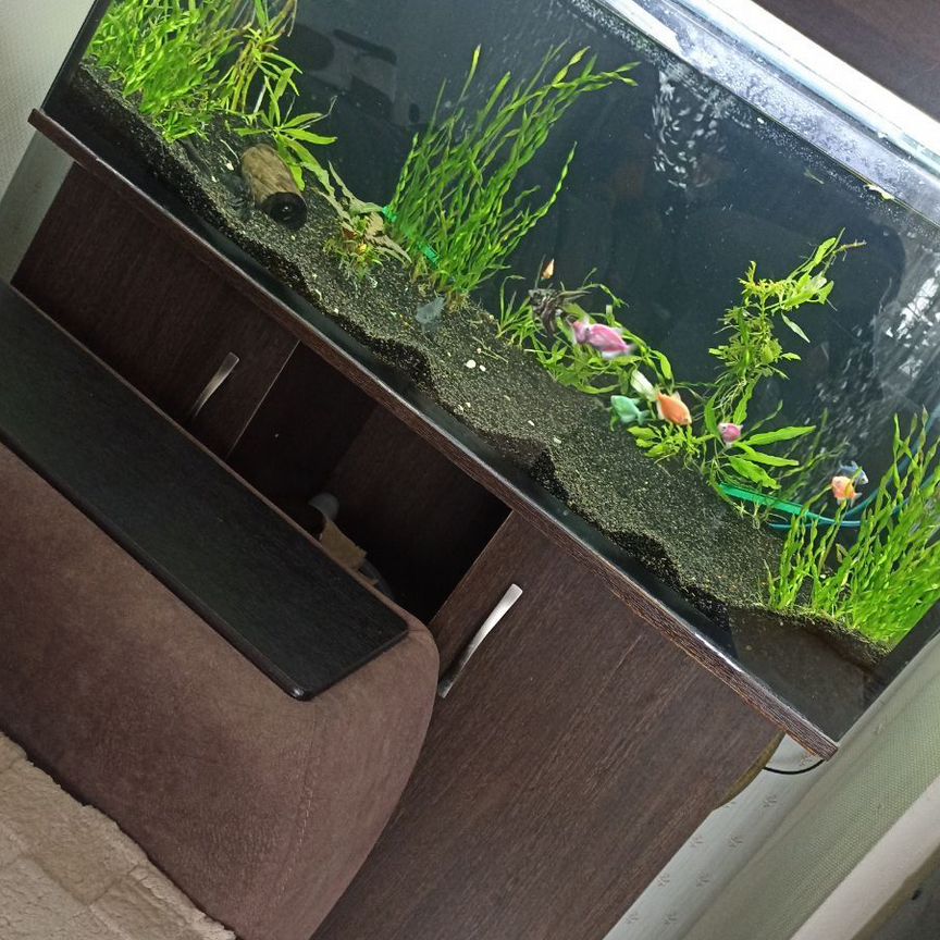 Аквариум 200л с тумбой