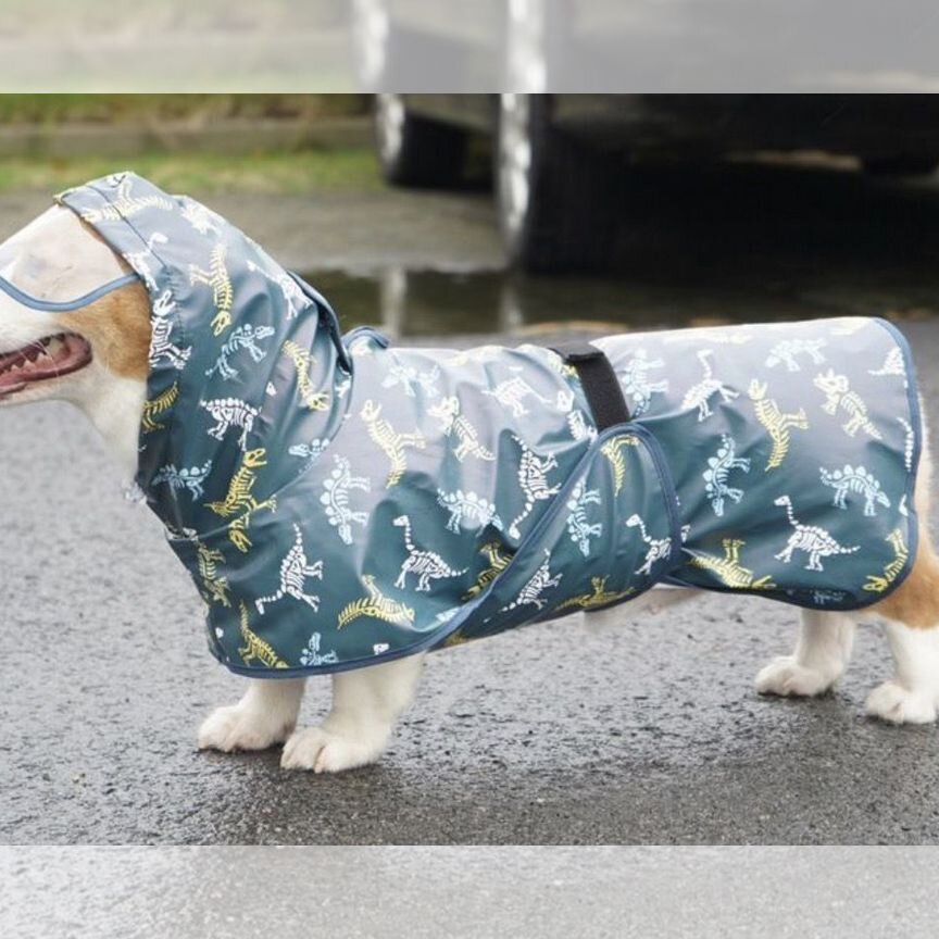 Дождевик для собак мелких пород