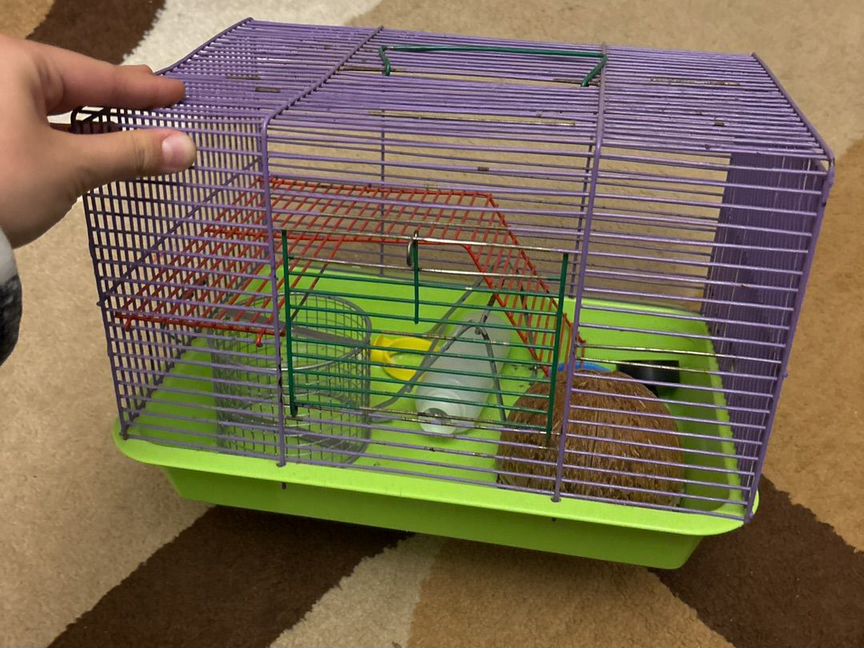 Клетка для джунгарского хомяка
