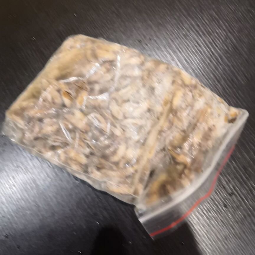 Замороженные сверчки