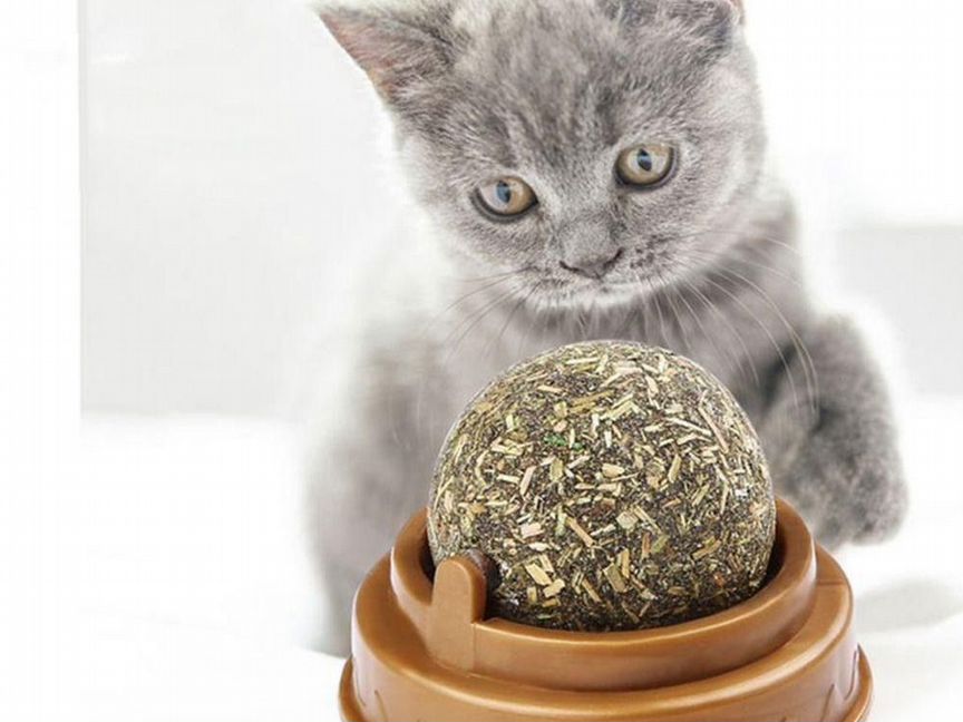 Кошачья мята, игрушка для кошек