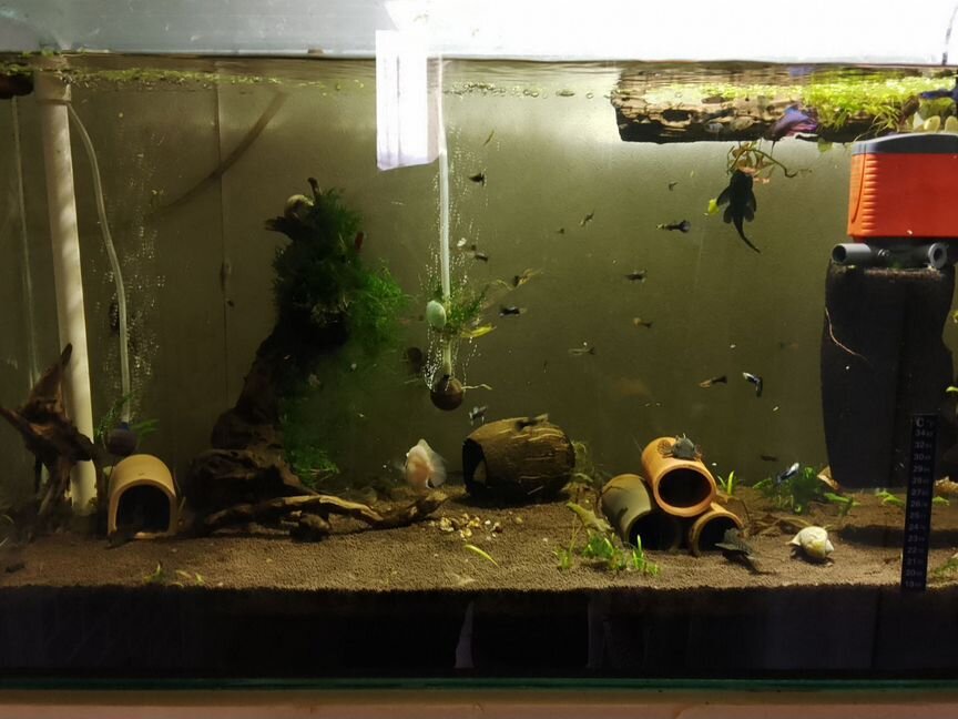 Аквариум 140 литров