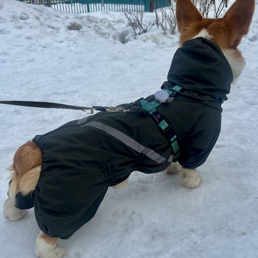 Комбинезон для корги
