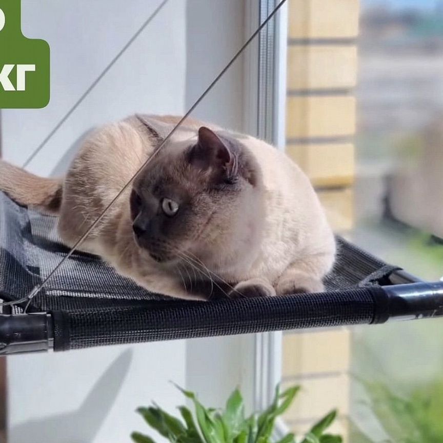 Гамак лежанка для котов на окно