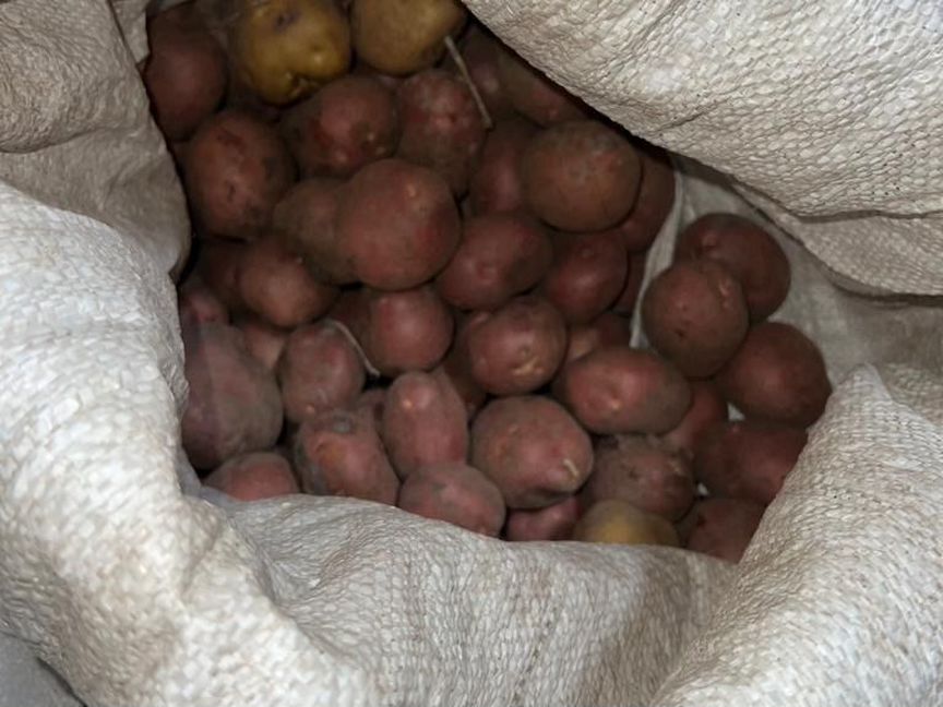 Продам мелкий картофель