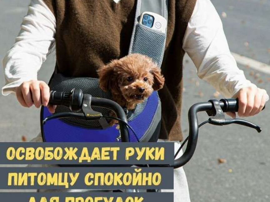 Товары для щенка