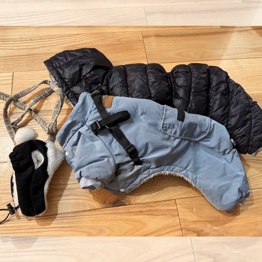 Одежда для собак