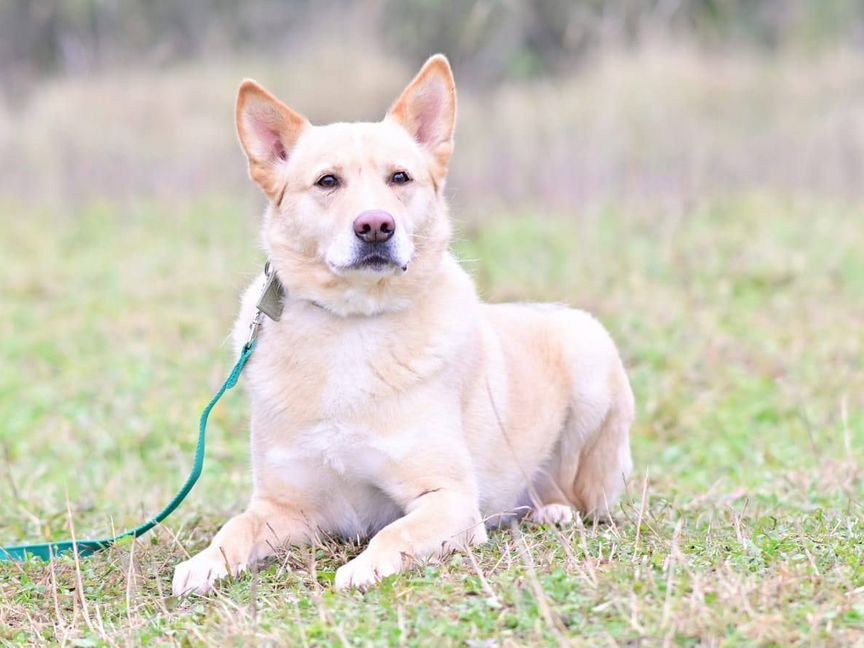 Оливер ищет семью