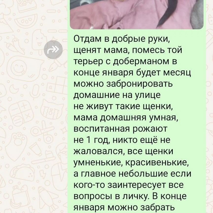Отдам в добрые руки