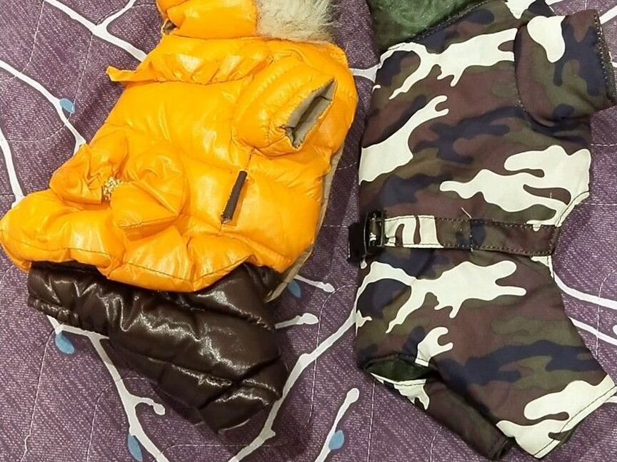 Одежда для собак мелких пород