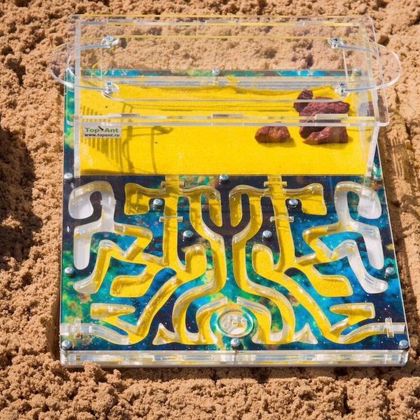 Формикарий/ Подарок для ребенка/ Муравьиная ферма