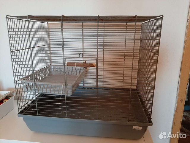 Клеть