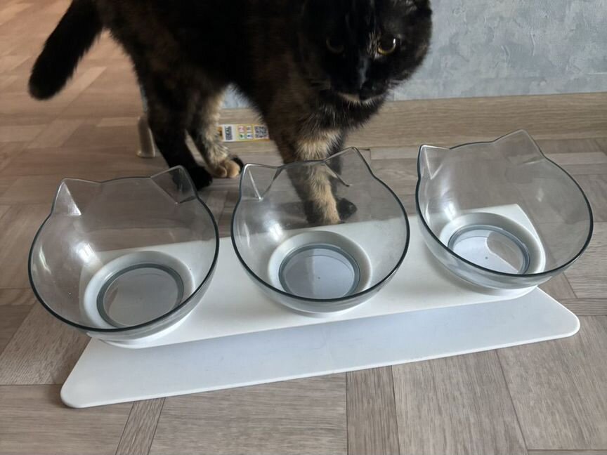 Миска для животных