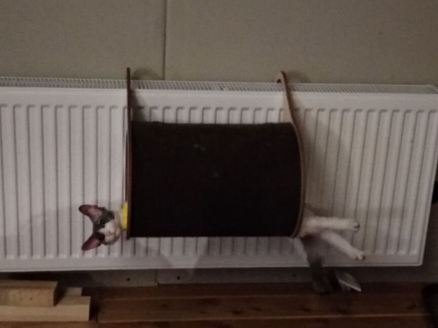 Котубус. Кошачья лежанка-тубус