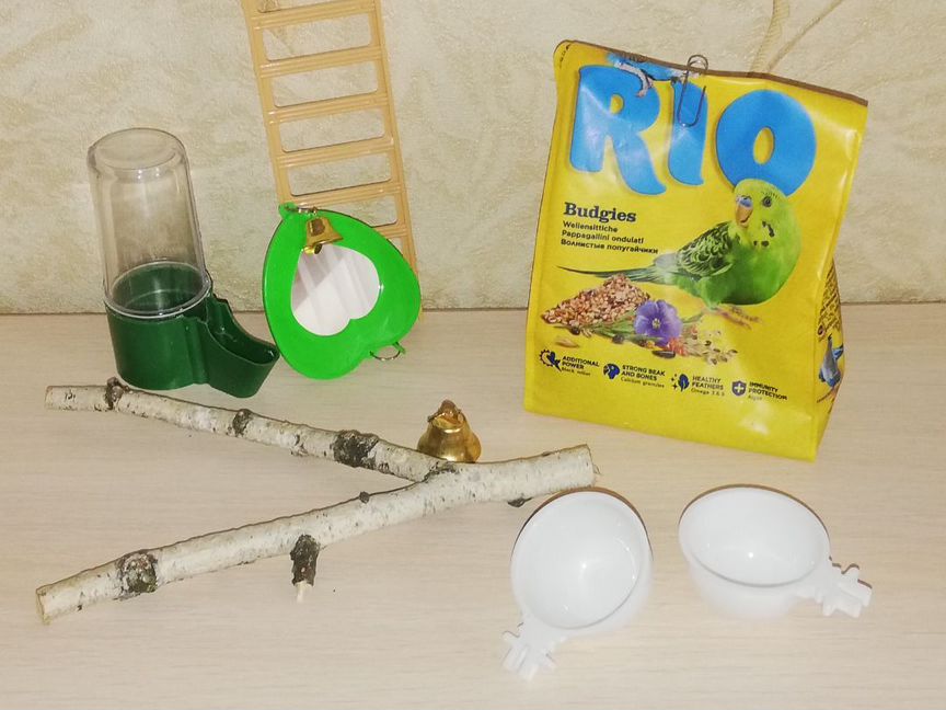 Остатки корма и разные нужности для попугайчика