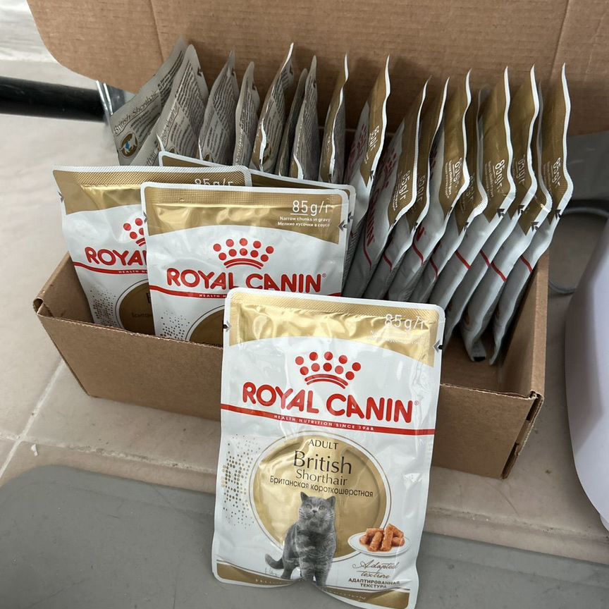 Royal canin паучи для кошек