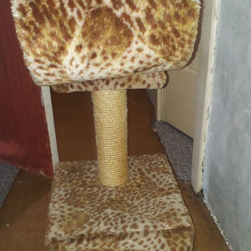 Домик для кошки сборный бу