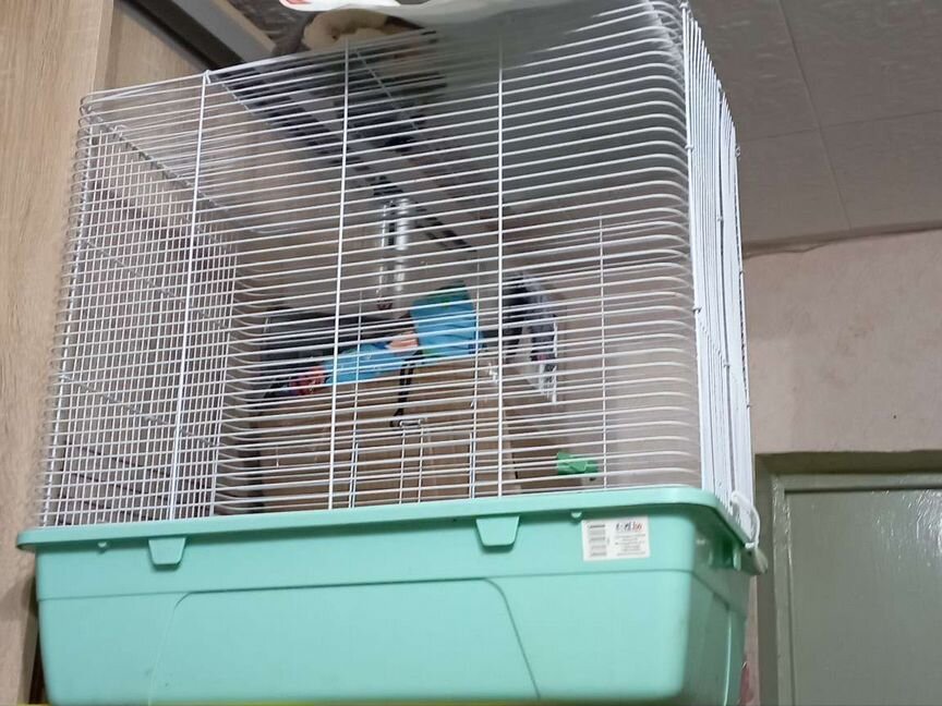 Огромная клетка для грызунов и птиц