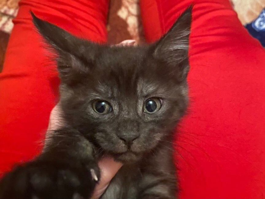 Замечательный мальчик