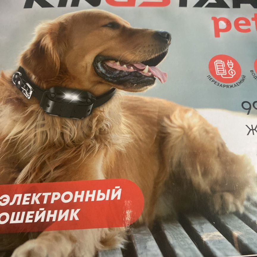 Умный ошейник