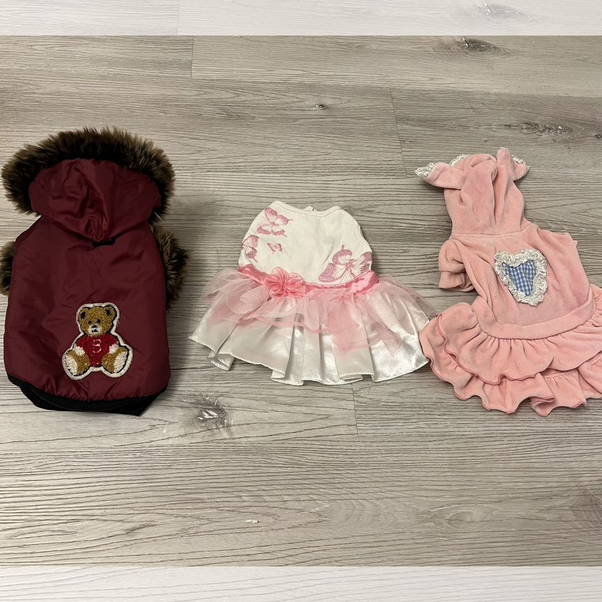 Одежда для собак S. Все сразу