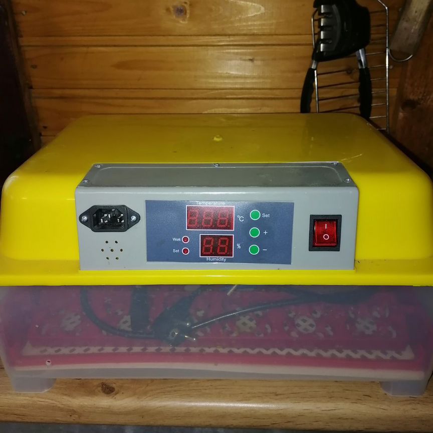 Инкубатор для яиц автоматический