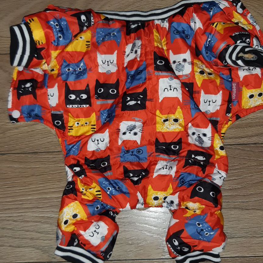 Одежда для кошек
