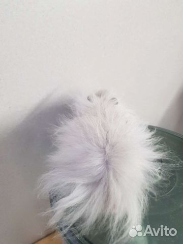 Сирицский хомячек -Помпон