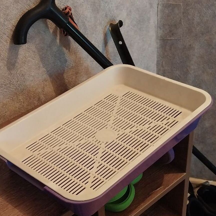 Лоток для кошек