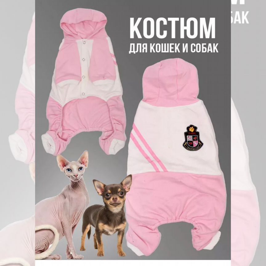 Костюм для собаки