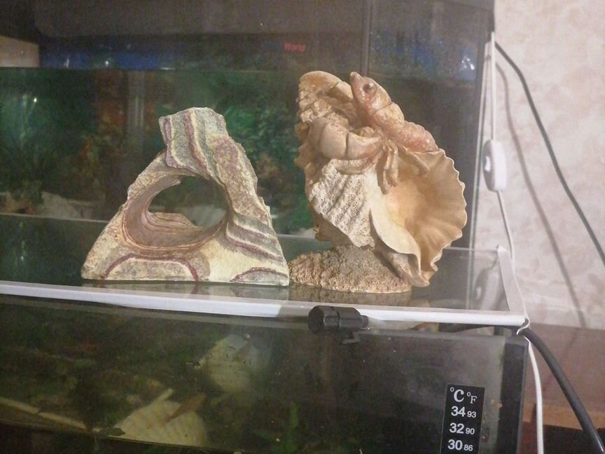 Декор для аквариума