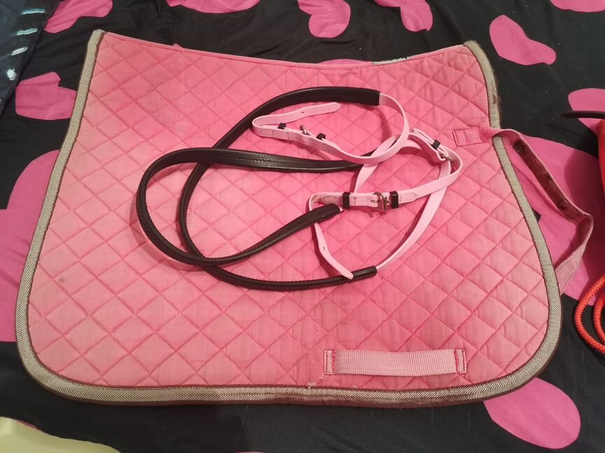 Вальтрап для лошади