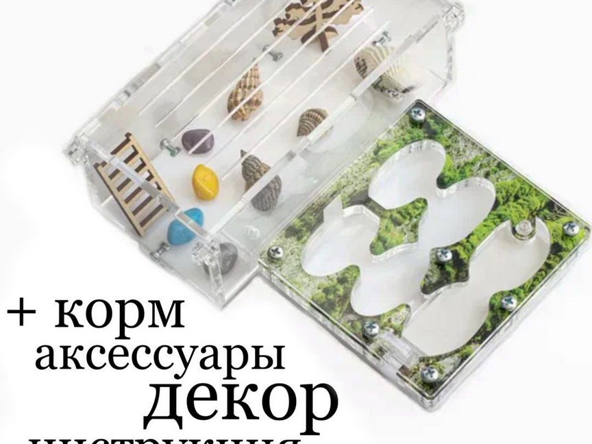 Муравьиная ферма Формикарий Старт Горный мох