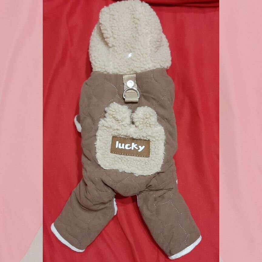 Одежда для маленьких собак