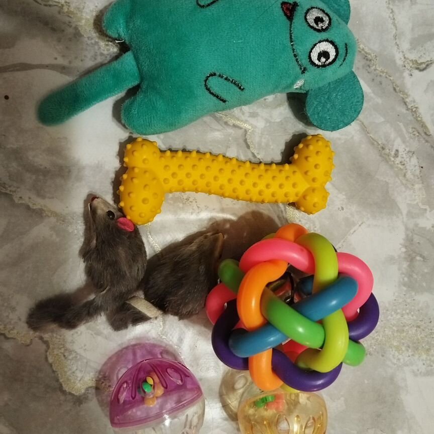 Игрушки для животных