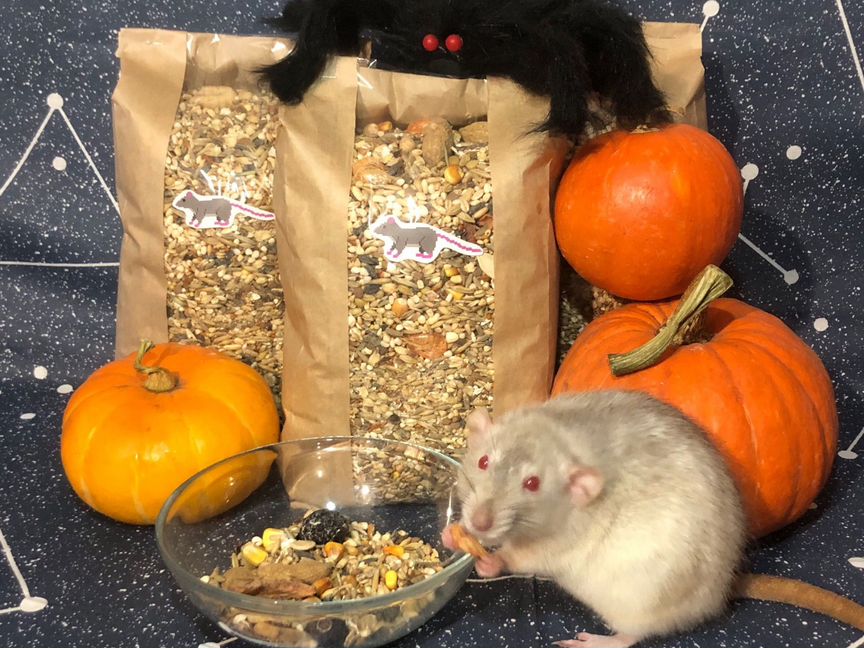 Корм для крыс