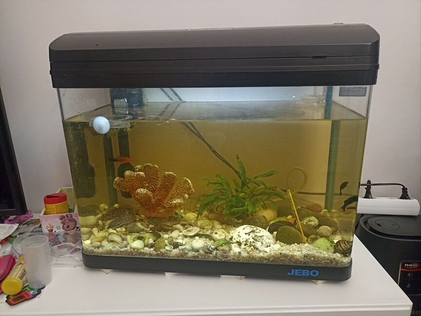 Аквариум jebo r500