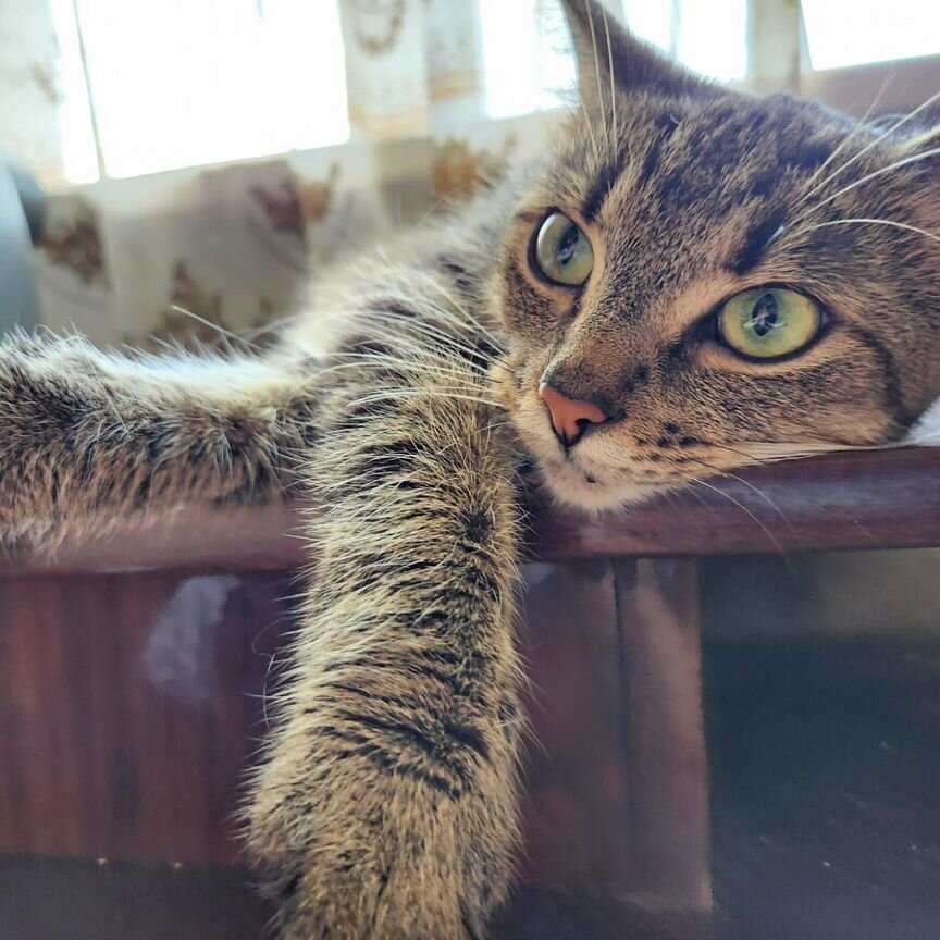 Меня выбросили