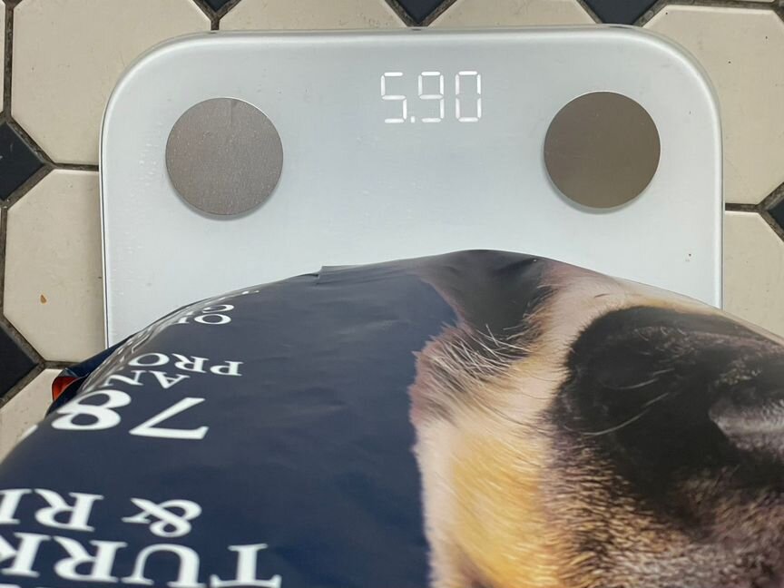 Корм доя щенков premial крупных пород