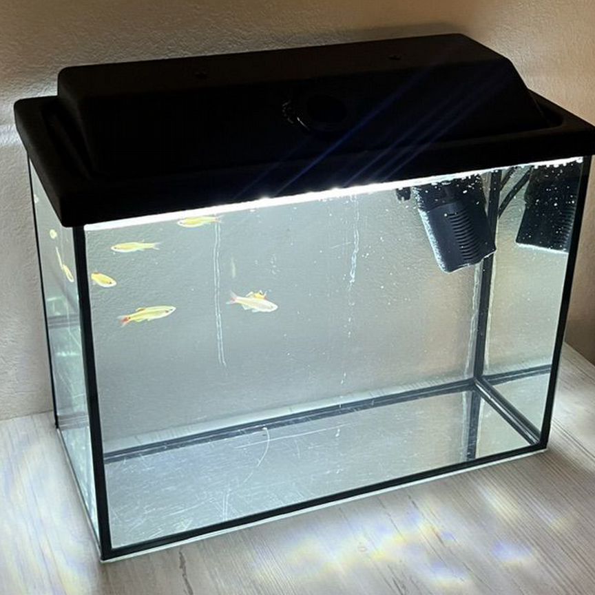Аквариум с рыбками
