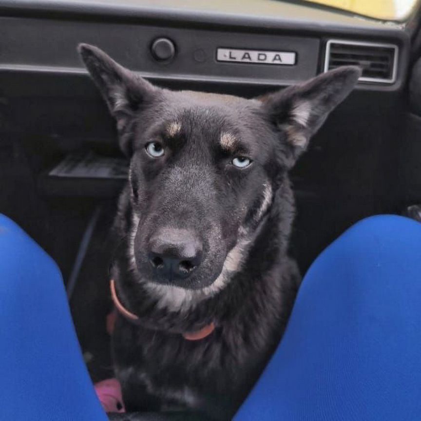 Карма ищет, кого настигнуть