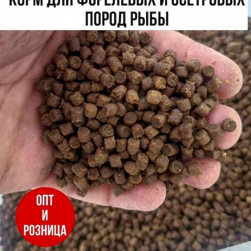 Корм для рыб от производителя