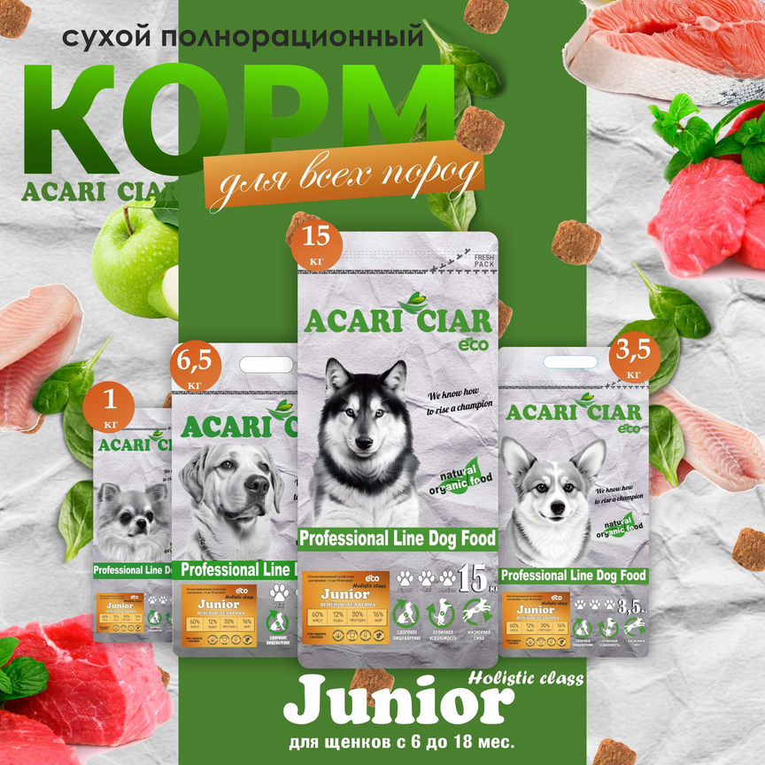 Junior Dog (3.5, mini)