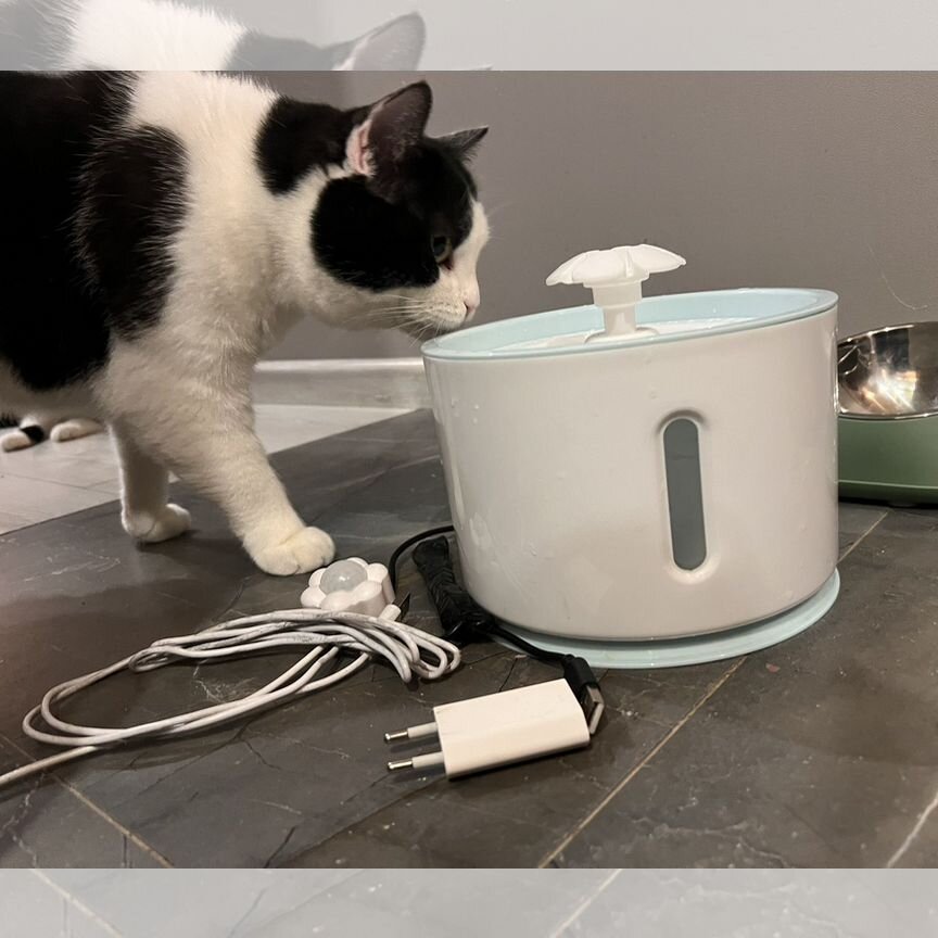 Фонтан поилка для кошек с датчиком движения